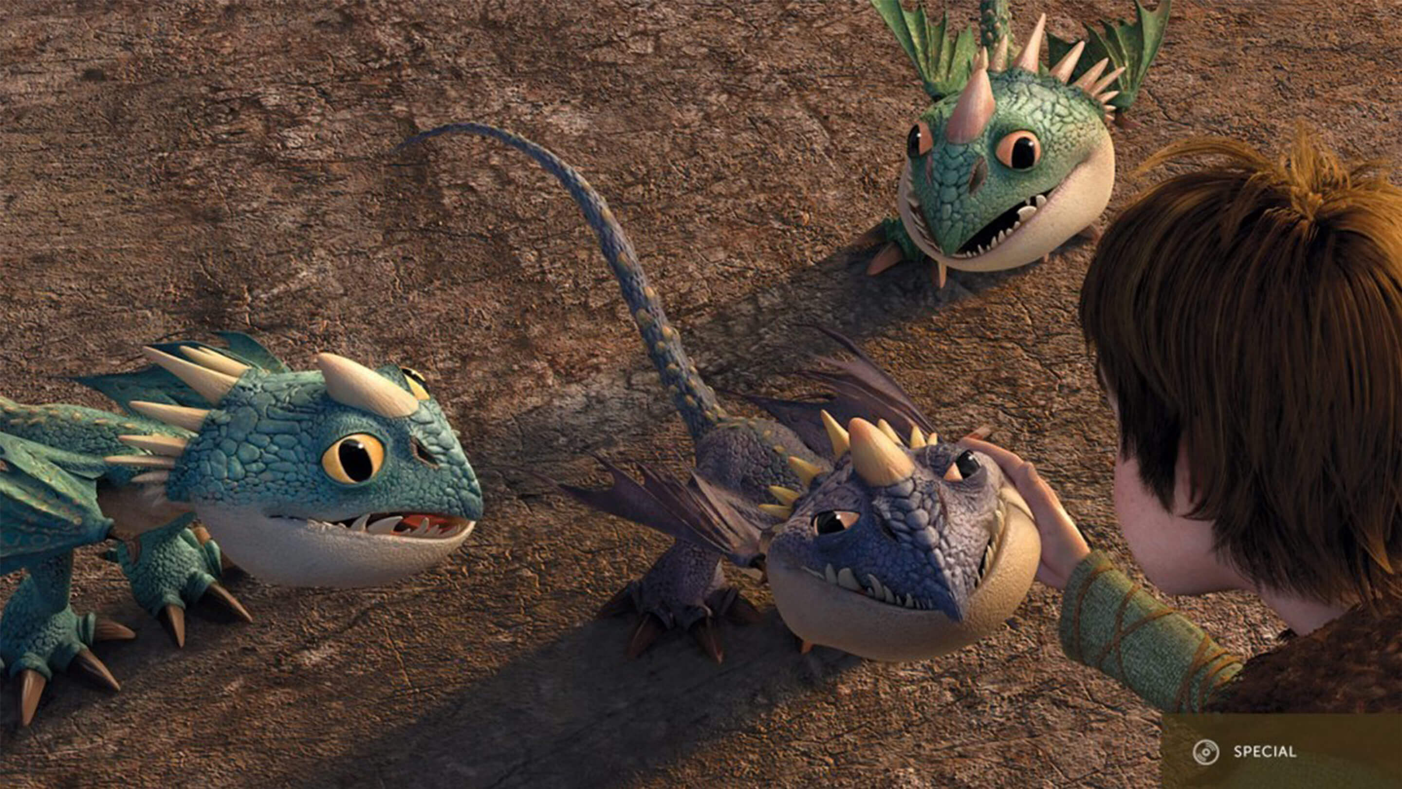 How To Train Your Dragon Baby Nadder