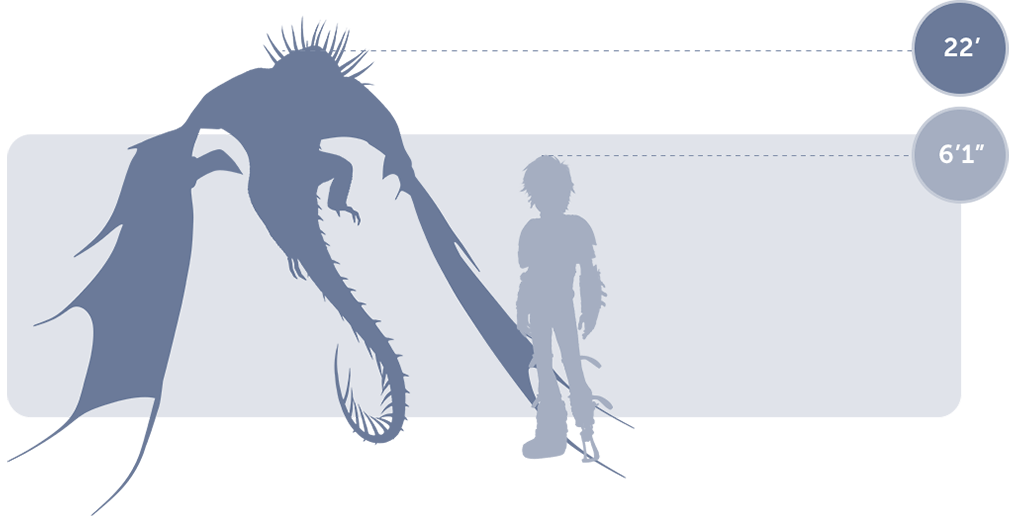 Dragon Size Chart