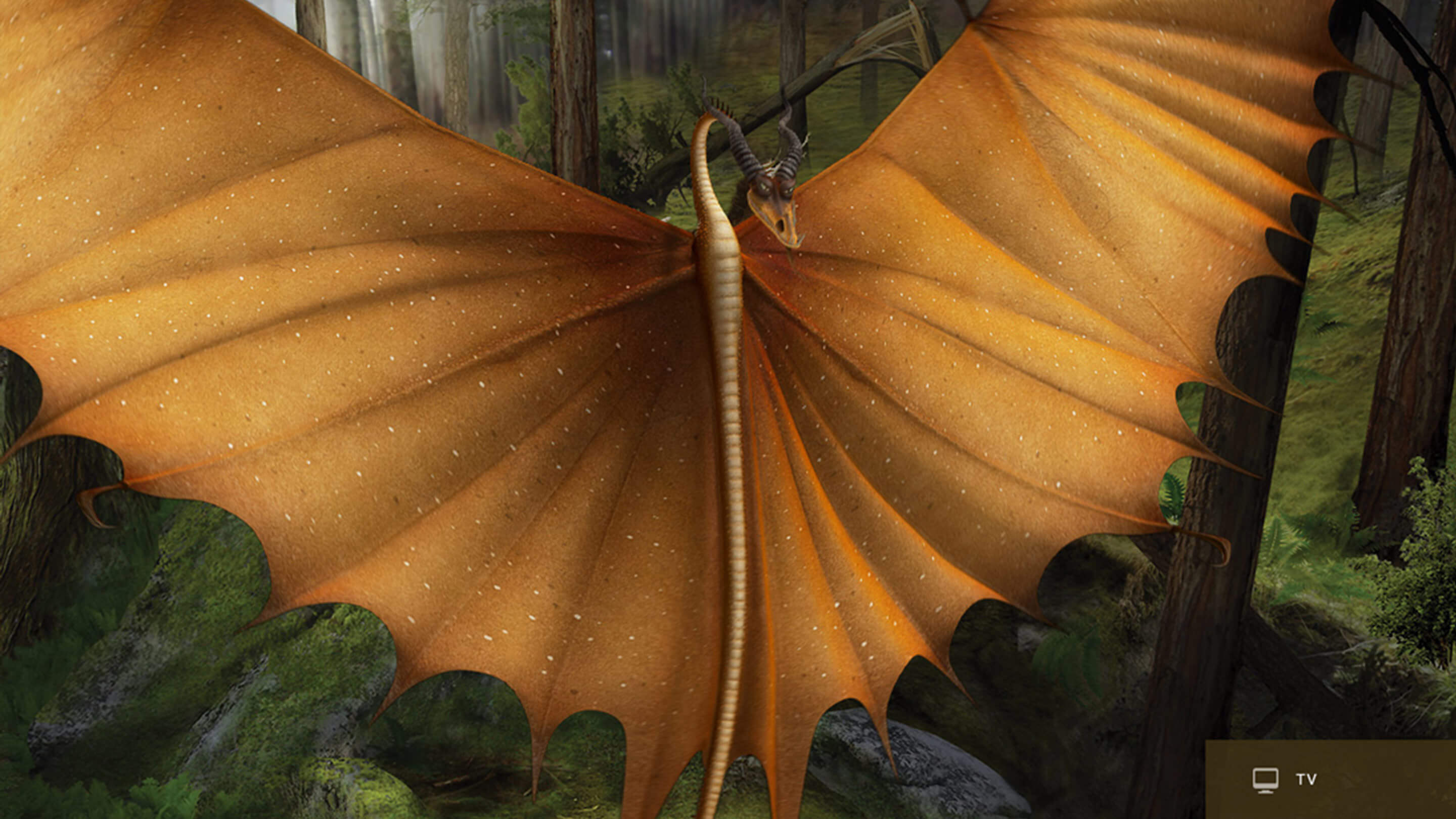 Timberjack How To Train Your Dragon