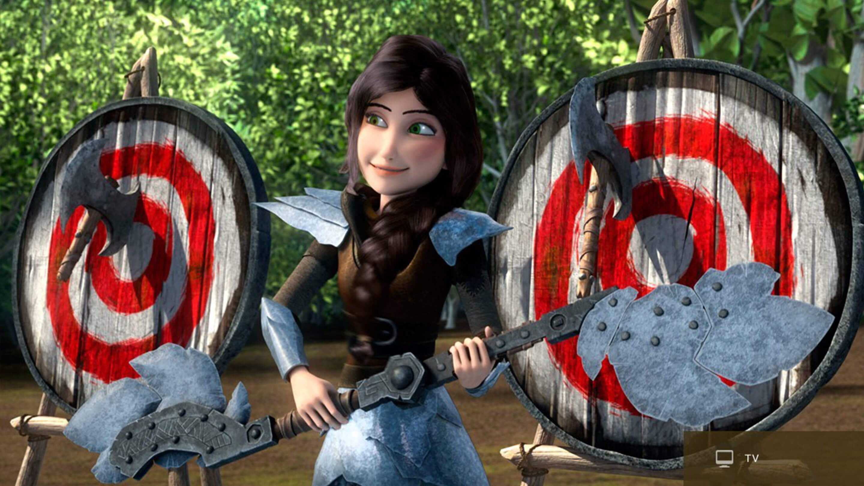 How To Train Your Dragon Hiccup And Heather