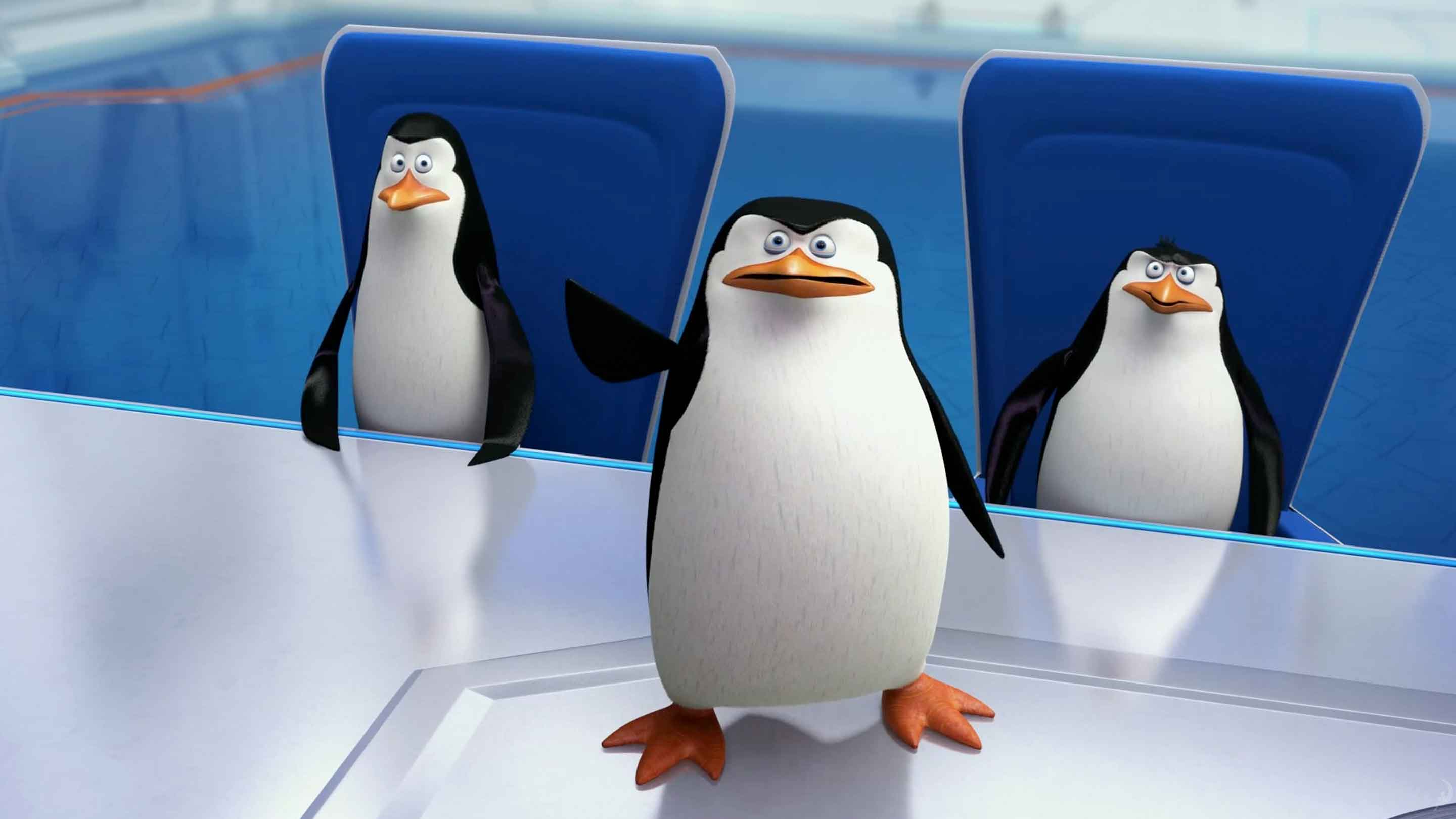 Madagascar Movie Penguin